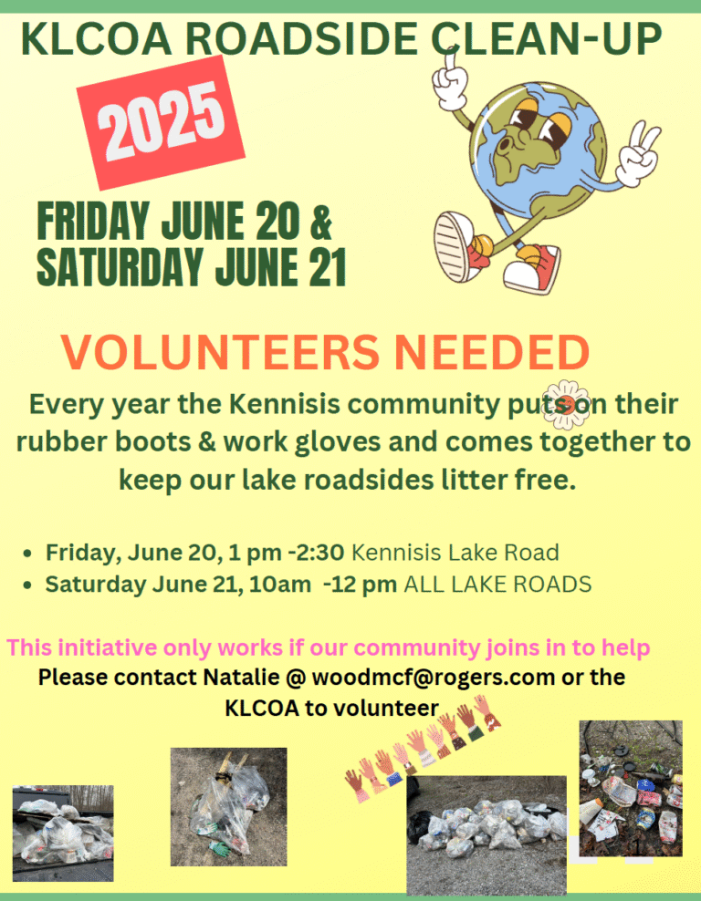 Kennisis Lake Cottage Owners' Association | Roadside Clean-up
